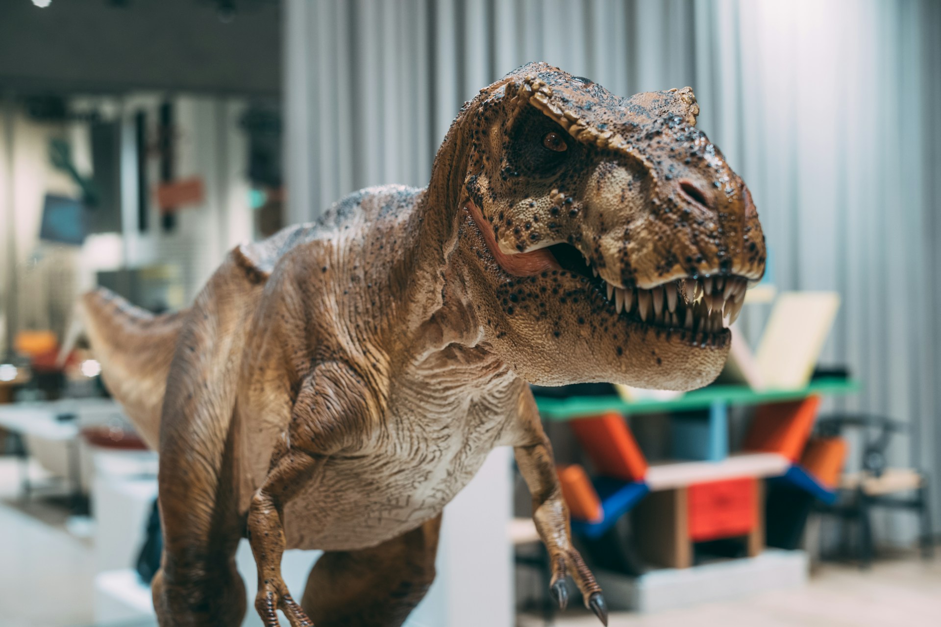 Carnotaurus og dinosaurernes mystik – hvad fortidens kæmper kan lære os ...